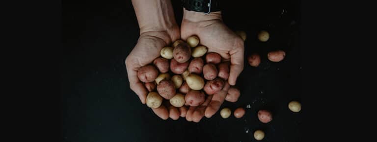 Kroketter med potatis, Västerbottensost®och brynt smör., Västerbottensost®