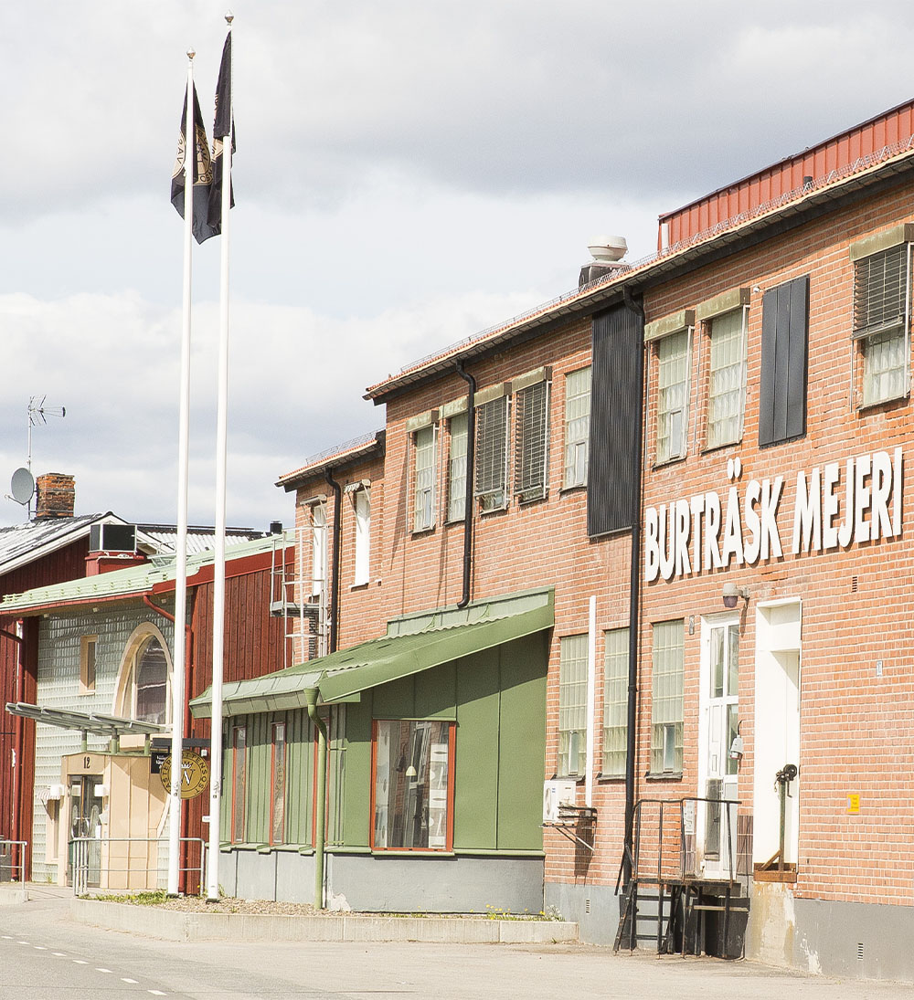 The story of the beloved Swedish cheese - Västerbottensost®