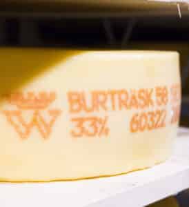 The story of the beloved Swedish cheese - Västerbottensost®