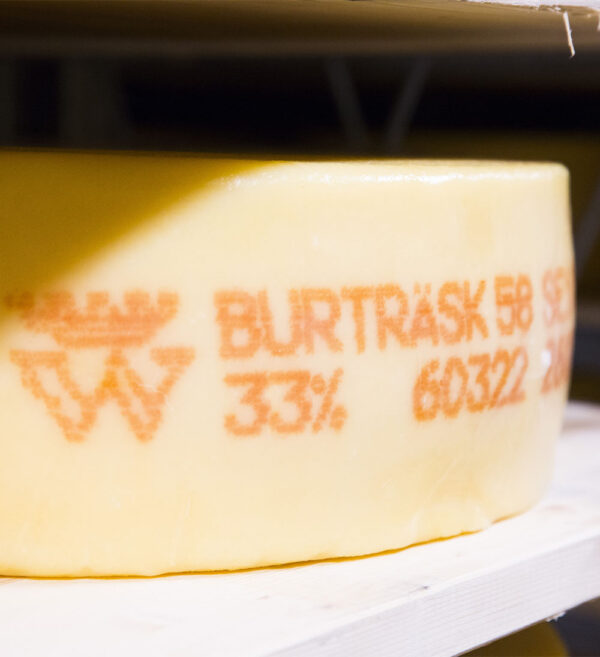 The story of the beloved Swedish cheese - Västerbottensost®