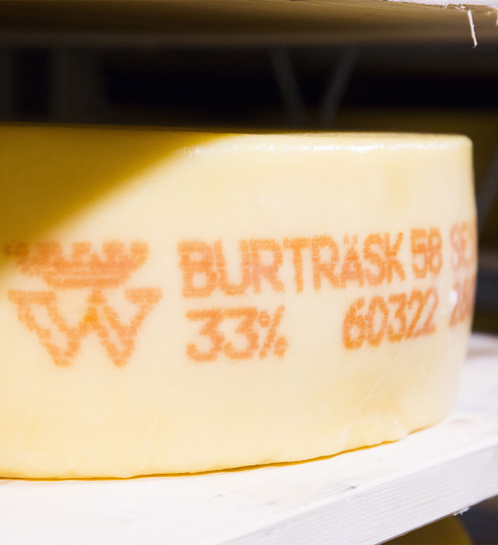 The story of the beloved Swedish cheese - Västerbottensost®